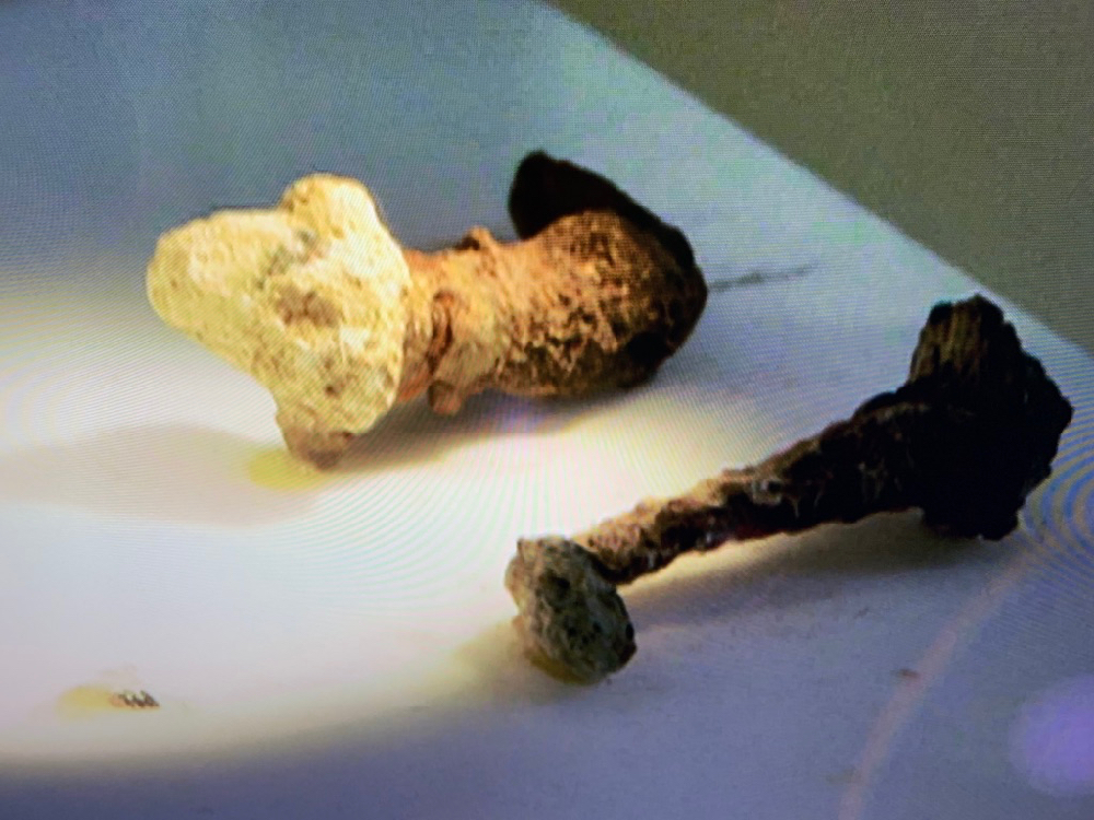 Archeological Discoveries That Prove Jesus – Robert Clifton Robinson