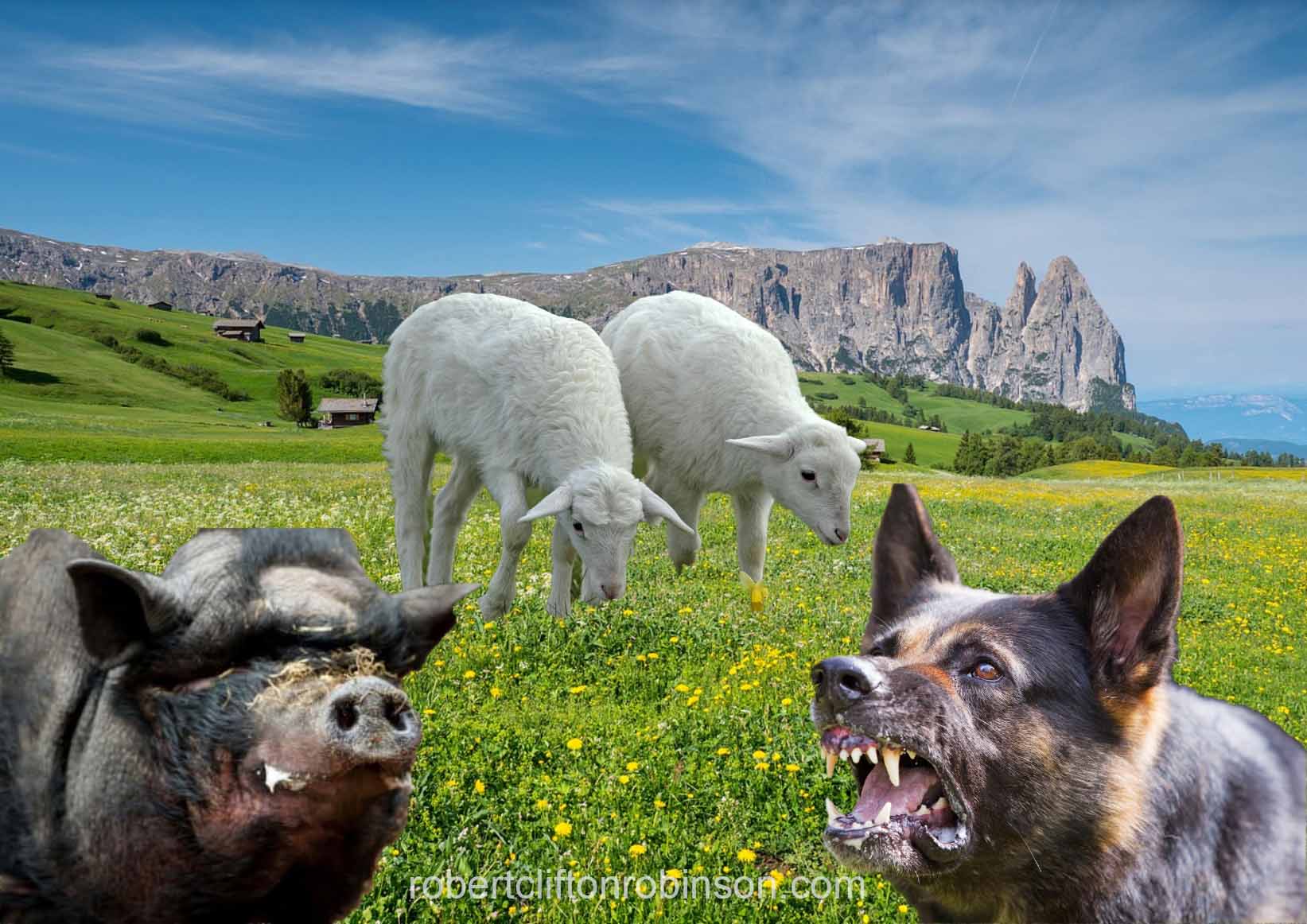 Pigs And Dogs: Exercising Discernment In Preaching The Gospel – Robert ...