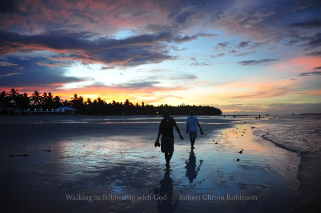 The Problem Of Sin: The Primary Issue Of Our Life – Robert Clifton Robinson